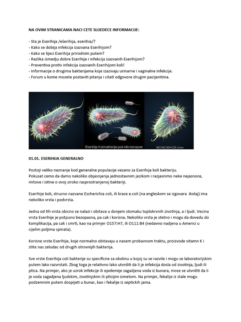 Eserihija Coli Infekcije | PDF