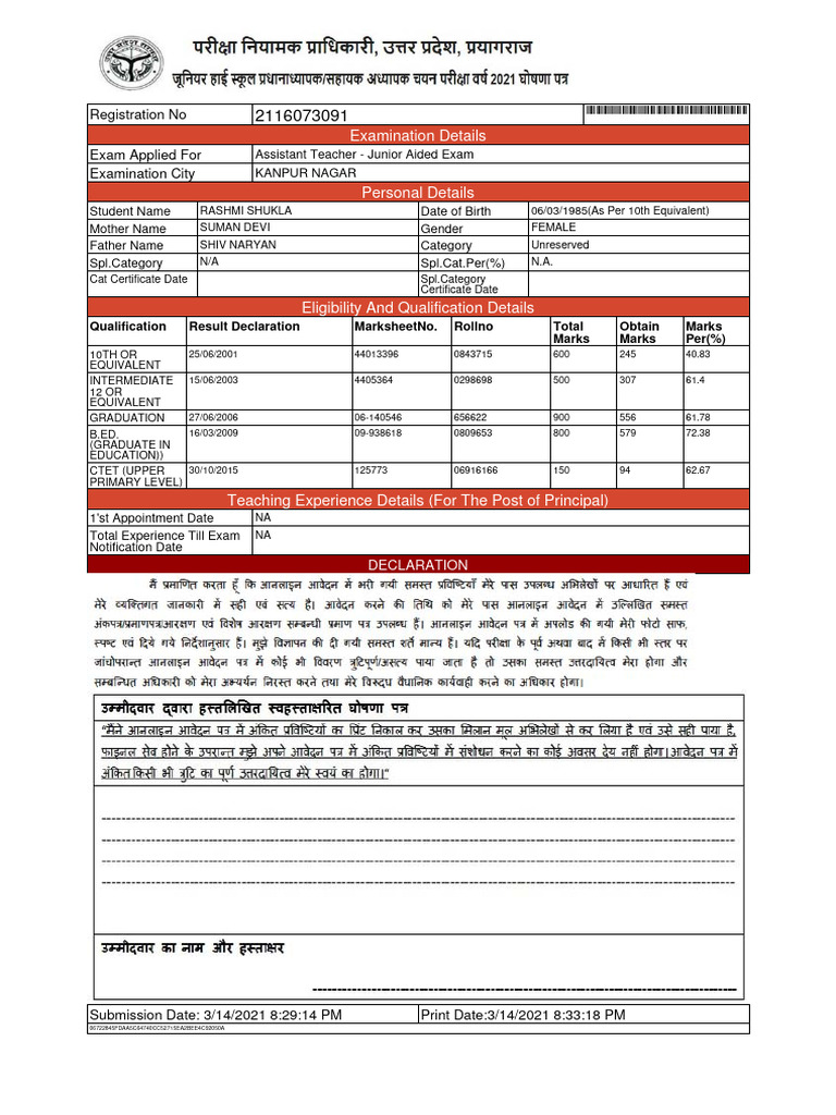 Declaration Undertaking FORM | PDF