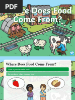 The Omnivores Dilemma Young Readers Edition | PDF | Photosynthesis | Maize