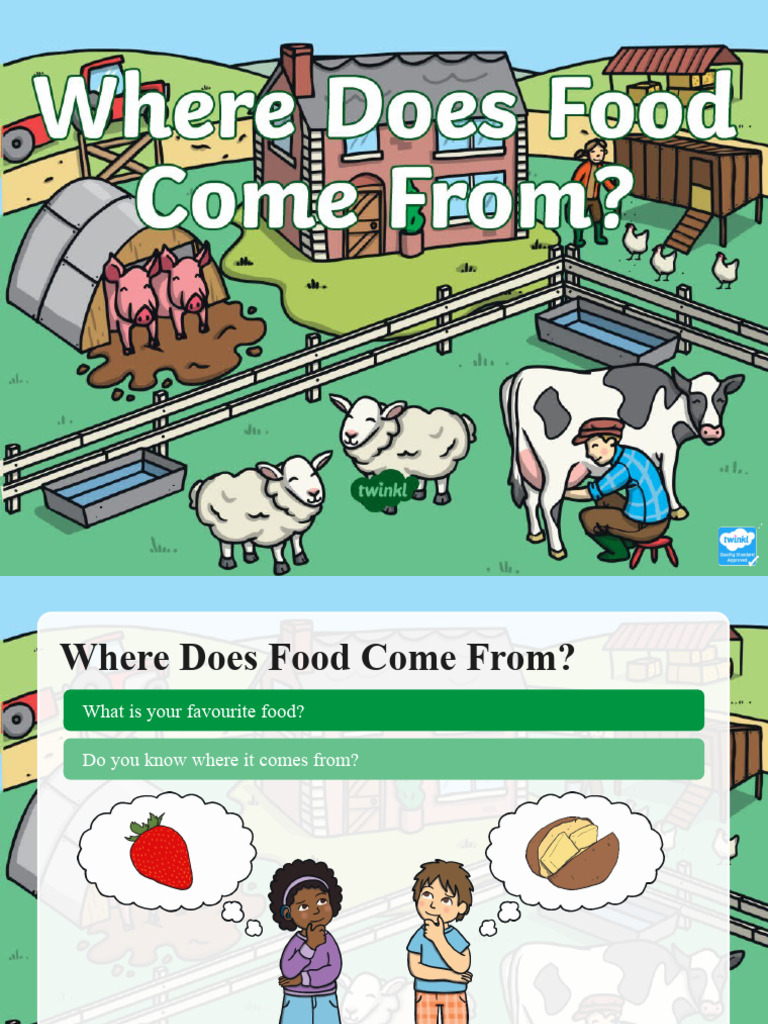 Where Does Food Come From | PDF | Vegetables | Potato