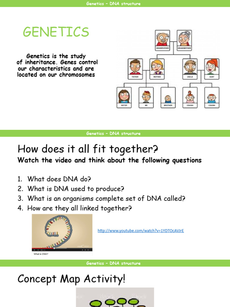 1a. DNA Structure | PDF | Dna | Genetics