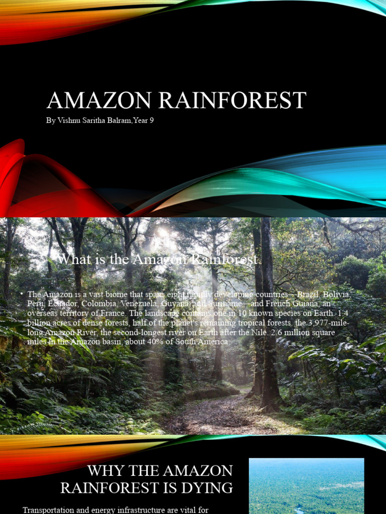 Amazon rainforest | PDF | Amazon Rainforest | Forests