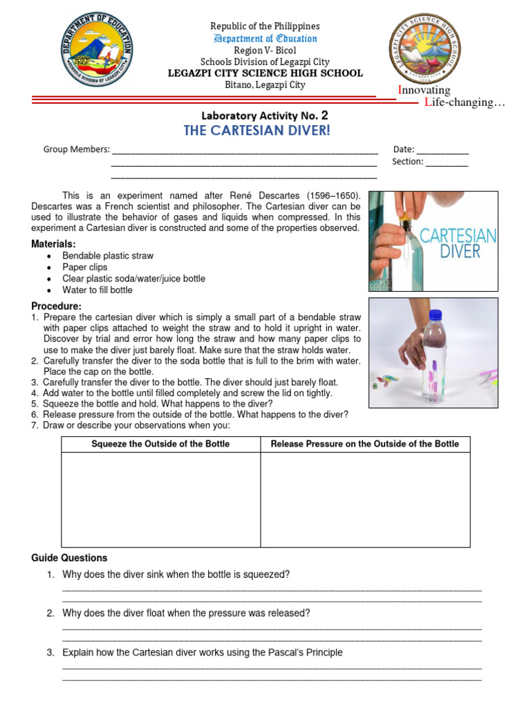 The Cartesian Diver | PDF