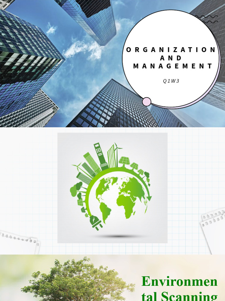 Organization Management Q1W3 | PDF | Business | Market (Economics)