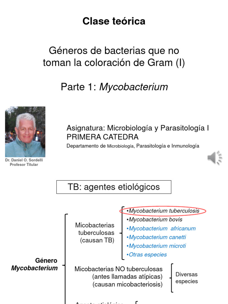 6a Micro I Clase Bact Q No Toman Colorac Gram PARTE 1 PDF | PDF ...