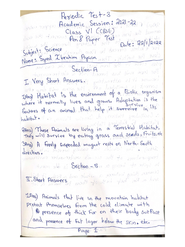 Science Pen Paper Test | PDF