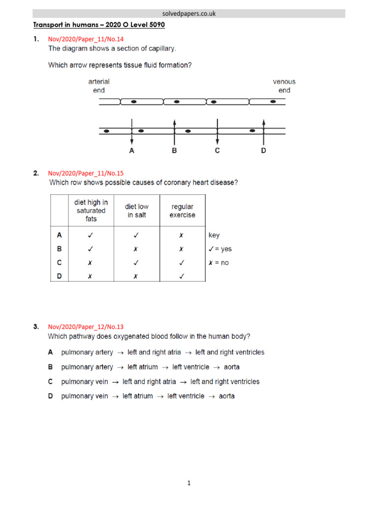 O Level Transport in Humans Papers | PDF