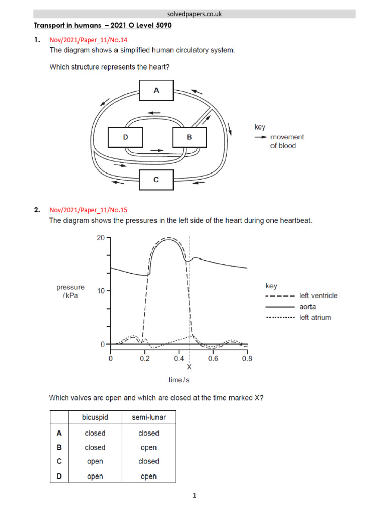 Human Transport O Level Past Papers | PDF