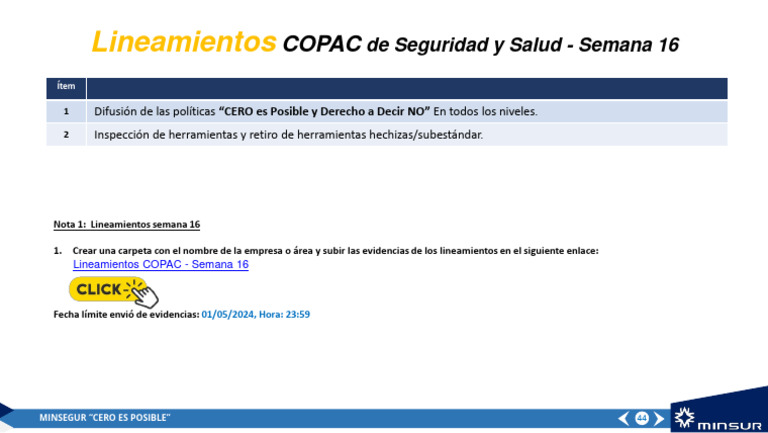 Lineamientos Copac Sso - Semana 16 | PDF