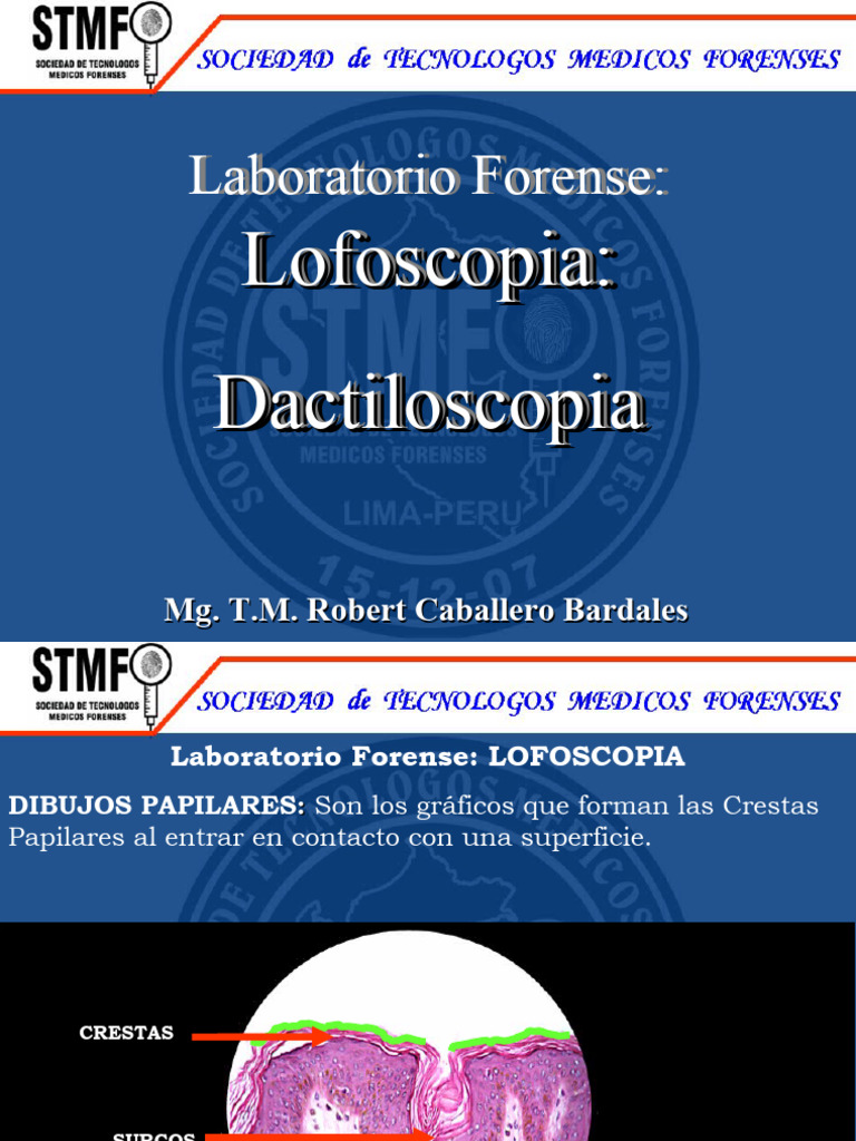 Lofoscopia. Dactiloscopia | PDF | Huella dactilar | Ciencia forense