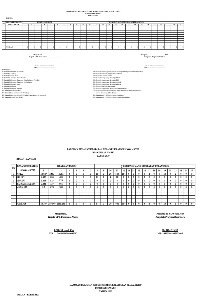Laporan Bulanan Puskesmas | PDF