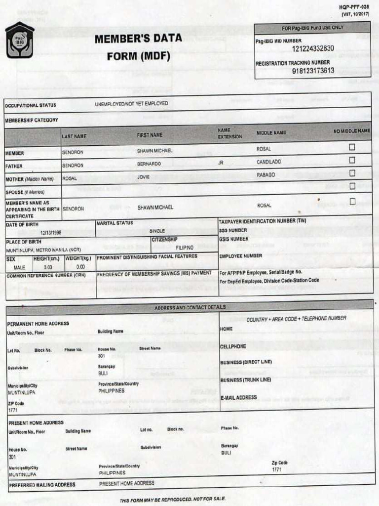 Document-WPS Office | PDF