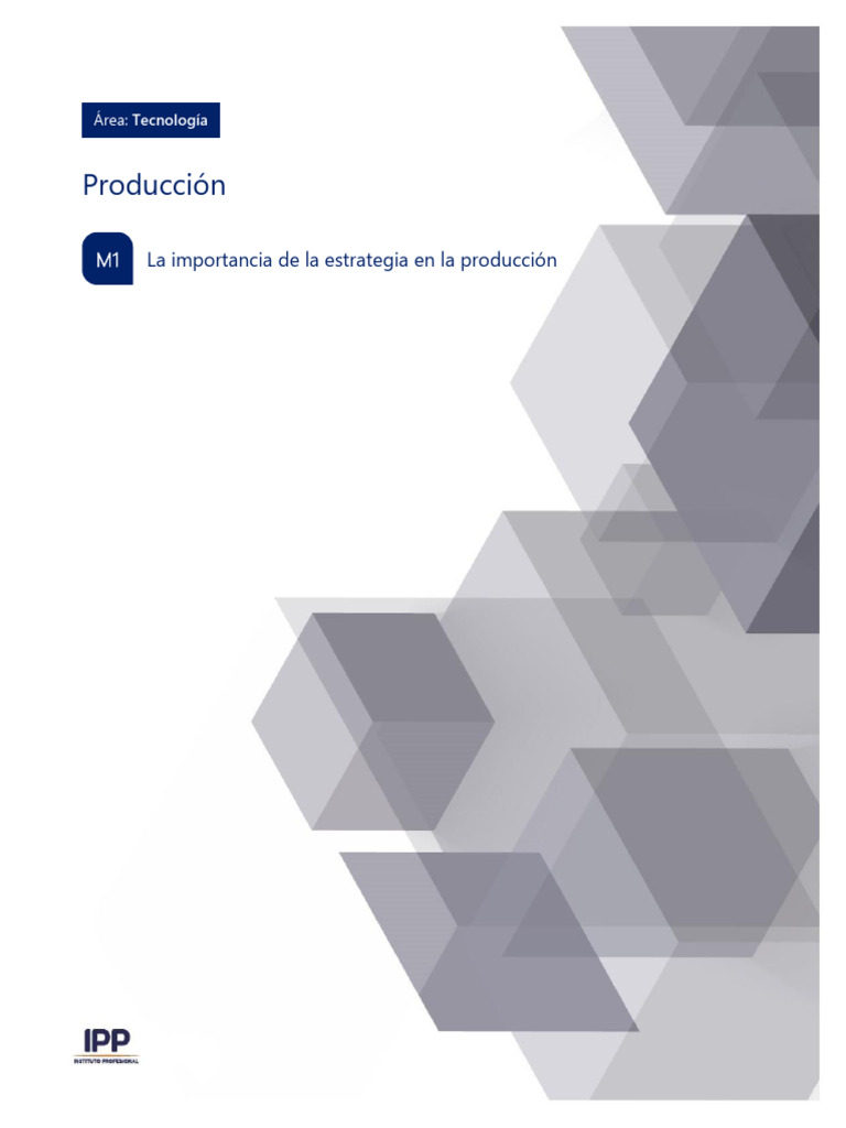 M1 - Producción Ipp m2 | PDF | Producto (Negocio) | Business