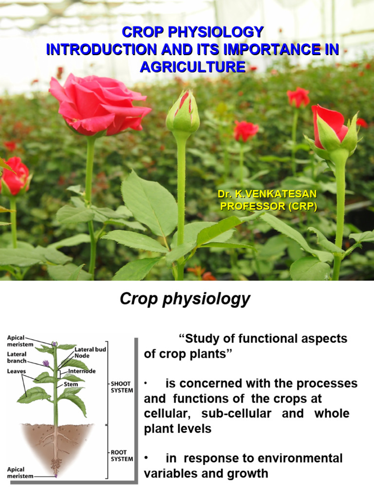 Lec. 01.introduction | PDF | Cell (Biology) | Photosynthesis Lec. 01.introduction | PDF | Cell (Biology) | Photosynthesis