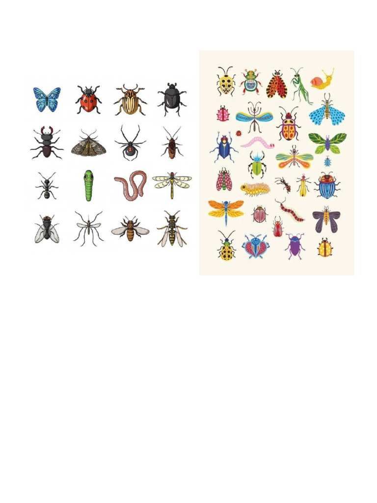 Guia Insectos Tercero Básico | PDF