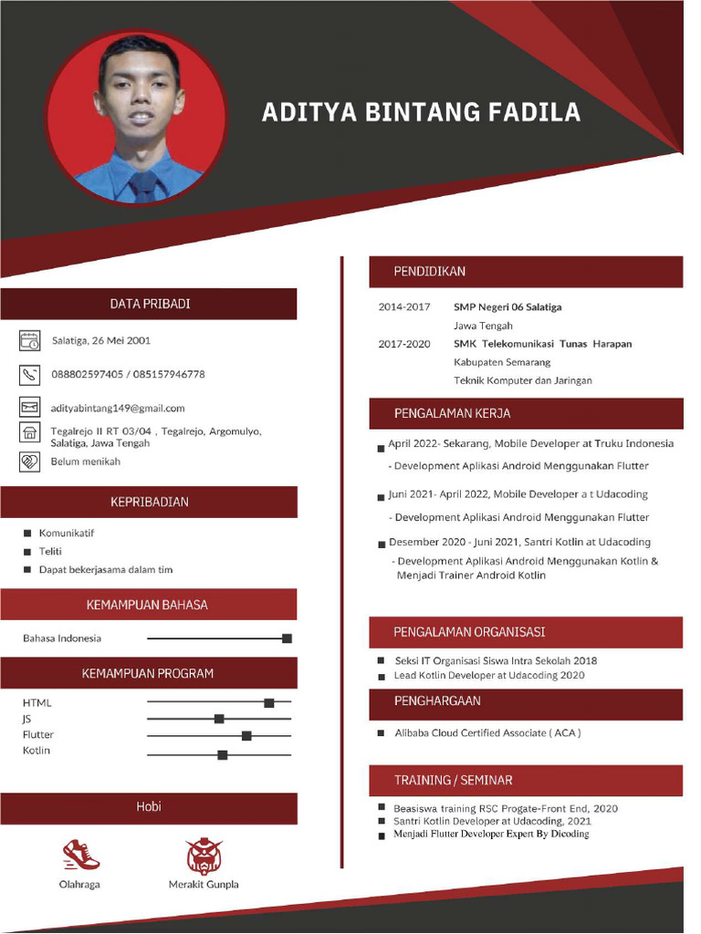 CV-Aditya Bintang Fadila | PDF