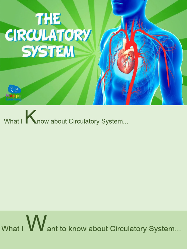 Topic 7 Circulatory System | PDF | Heart | Atrium (Heart)