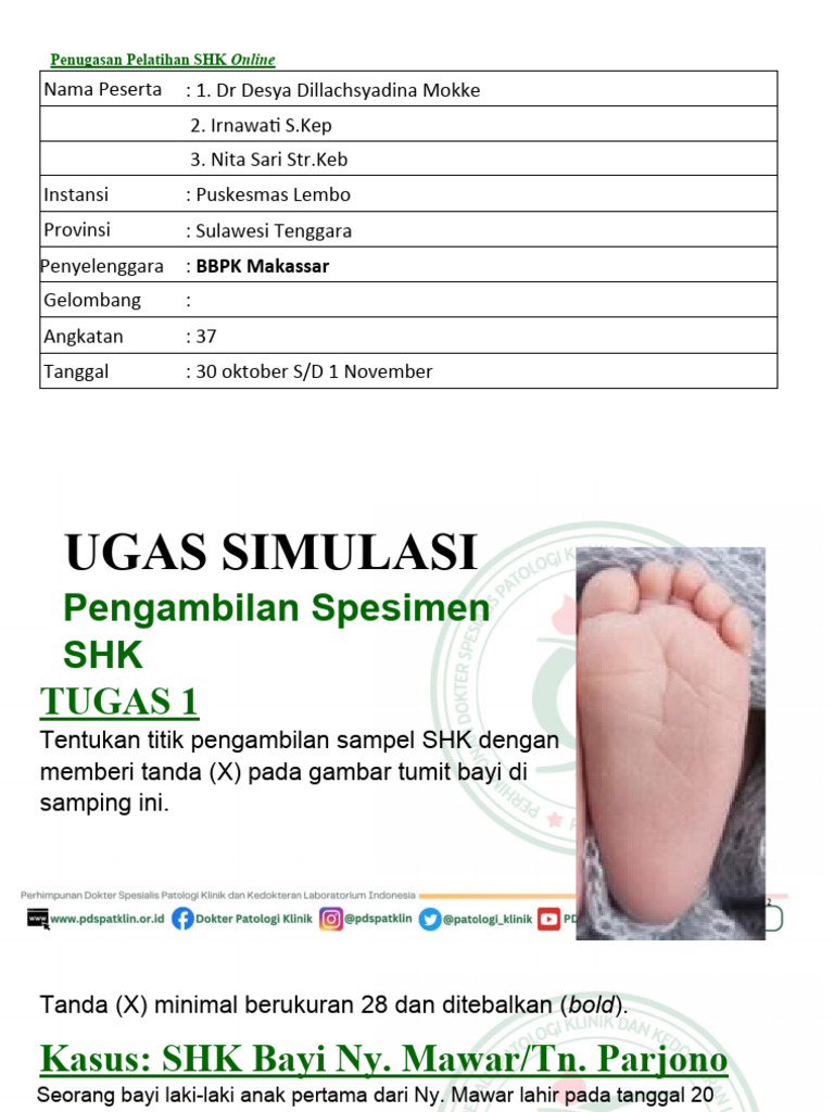 Lembar Tugas Sampling DBS SHK PDS PatKLIn | PDF