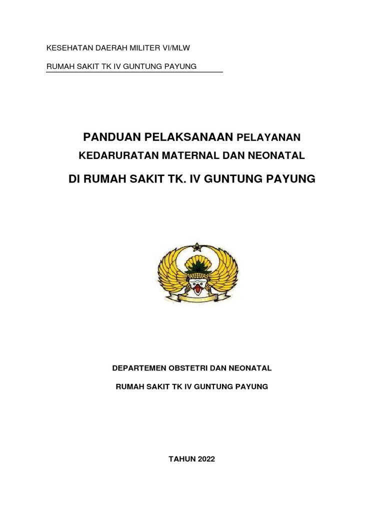Panduan Pelaksanaan PONEK 24 Jam Di RS | PDF