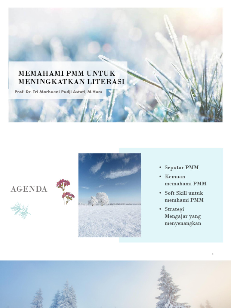 Materi h2 Memahami PMM Untuk Meningkatkan Literasi 2024 | PDF