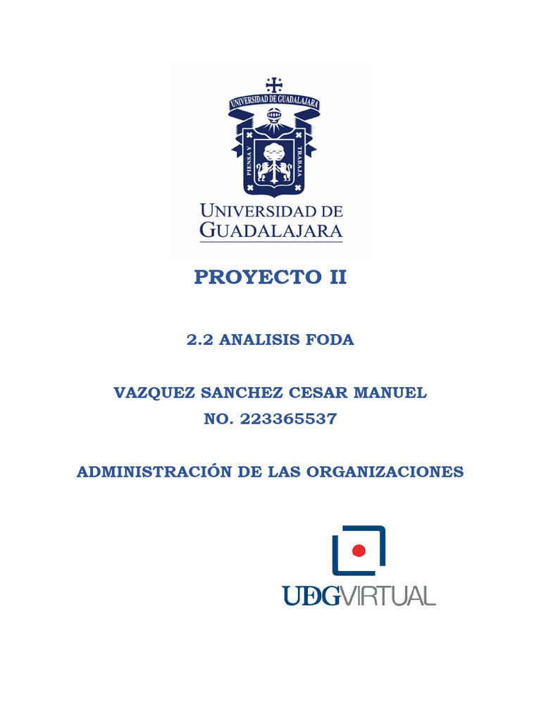 Proyecto Ii | PDF | Análisis FODA | Business