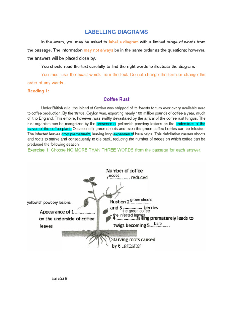 Reading - Labelling Diagrams | PDF | Fuels | Sun