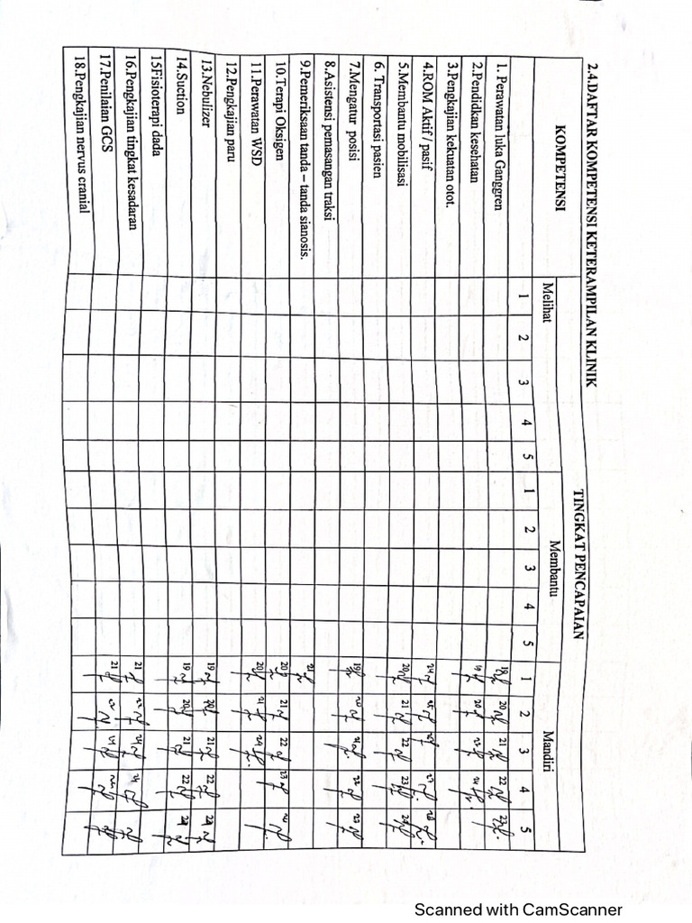 Capaian Komptensi 18 Okt-31 Okt | PDF