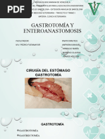 Abordaje Quirúrgico de La Resección Intestinal | PDF | Cirugía ...