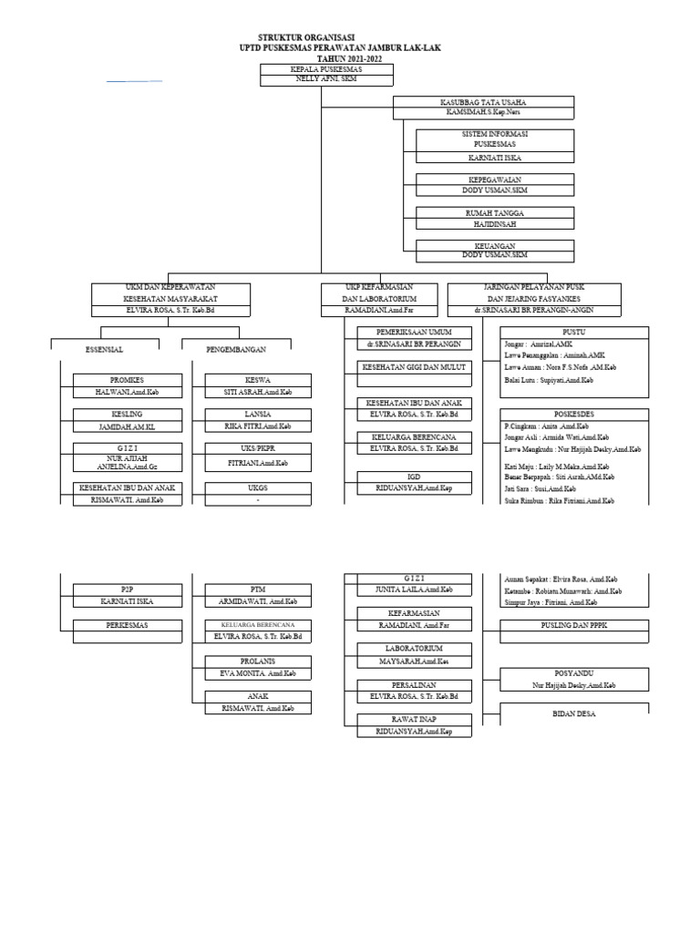 Struktur Organisasi PKM Lak-Lak | PDF