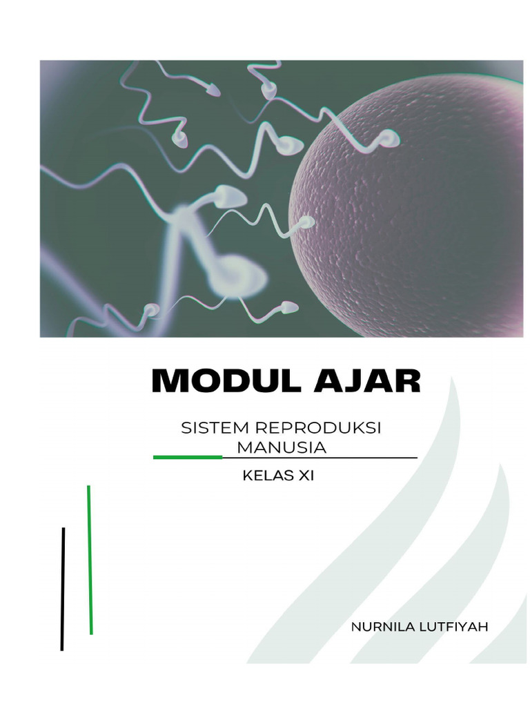 Modul Ajar Biologi Sistem Reproduksi Manusia | PDF | Karier & Perkembangan | Sains & Matematika