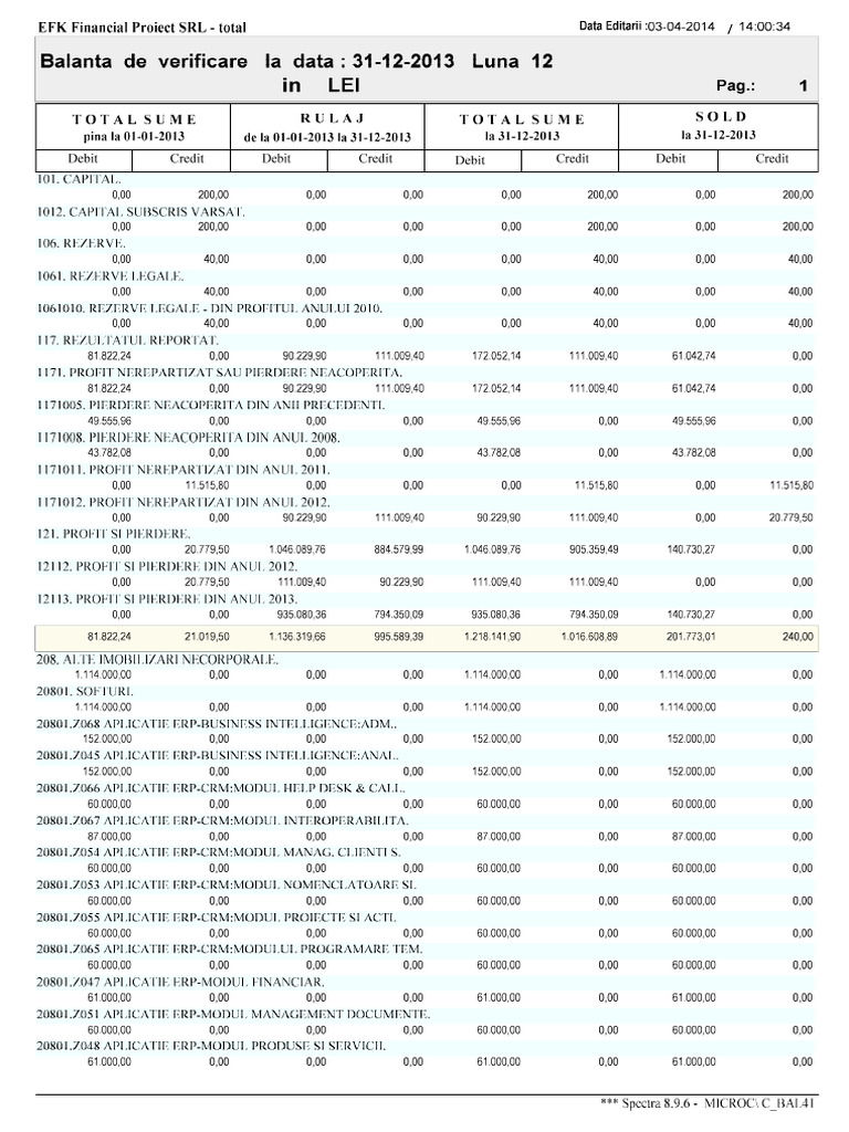 Balanta de Verificare | PDF