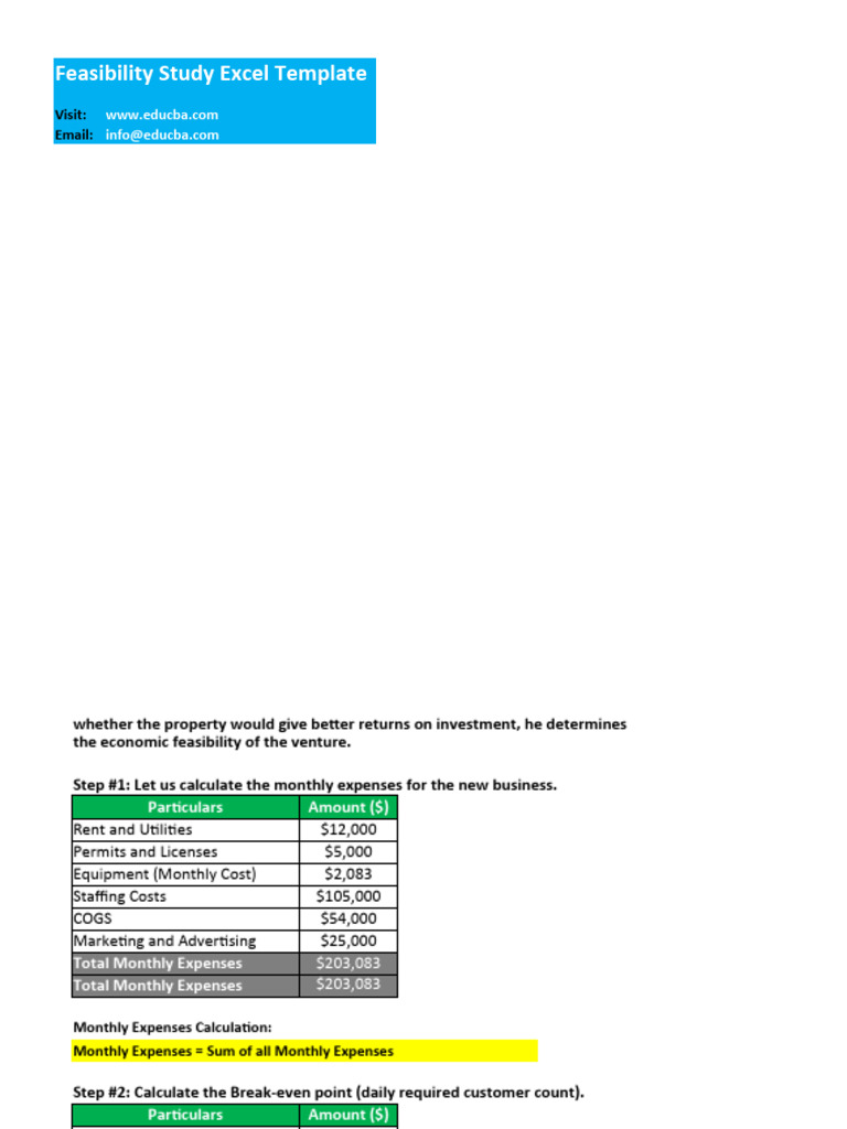Feasibility Study Excel Template | PDF | Depreciation | Net Present Value