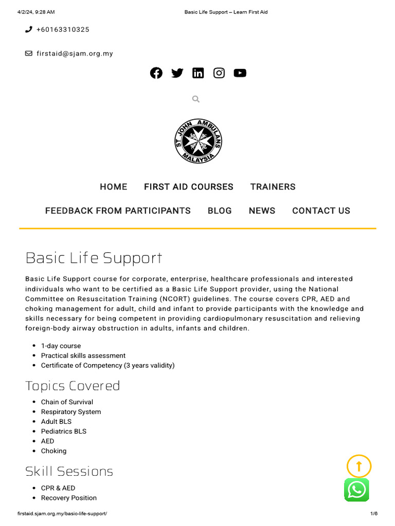 Basic Life Support - Learn First Aid | PDF | Health Care | Medical ...