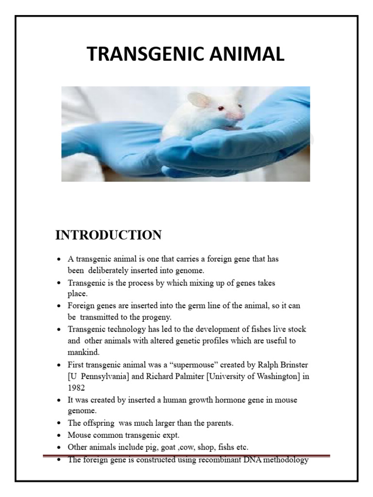 Understanding Transgenic Animals | PDF | Transgene | Retrovirus