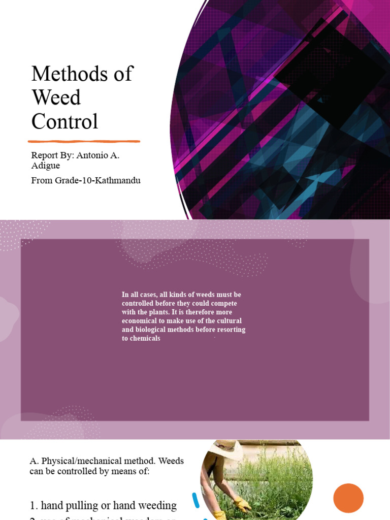 Methods of Weed Control-Antonio Adigue Report | PDF | Weed | Herbicide