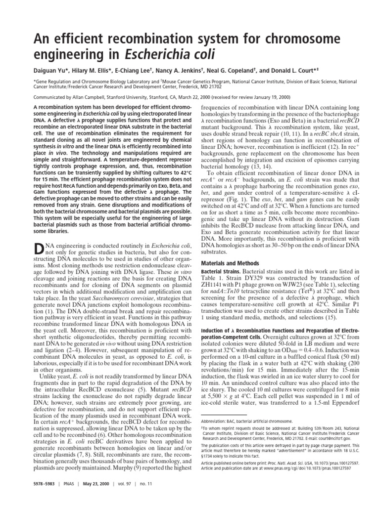 An Efficient Recombination System For Chromosome Engineering in E Coli | PDF | Plasmid ...