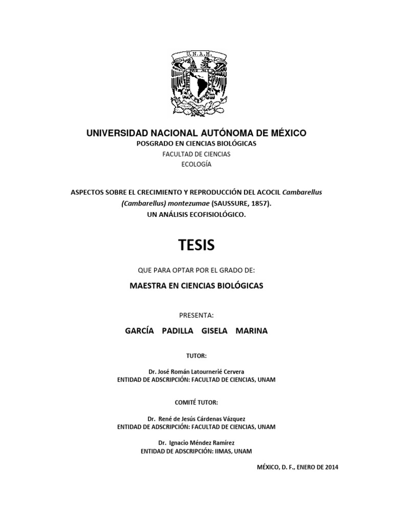Tesis: Universidad Nacional Autónoma de México | PDF | Doctorado | México