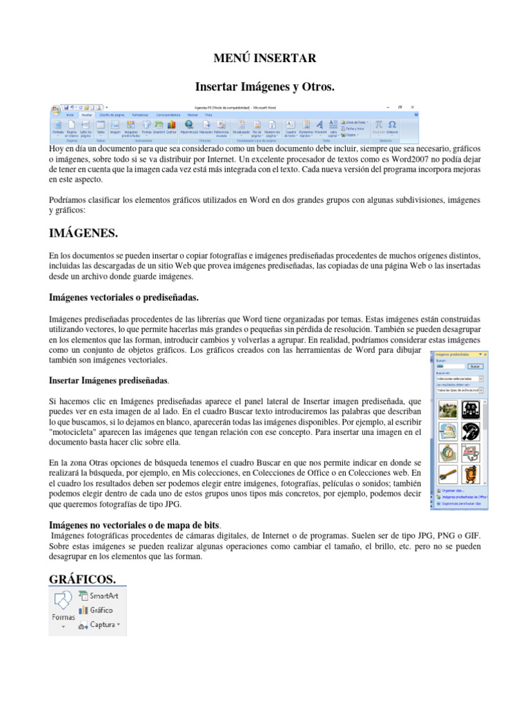 Menu Insertar Ortografia Gramatica | PDF | Informática