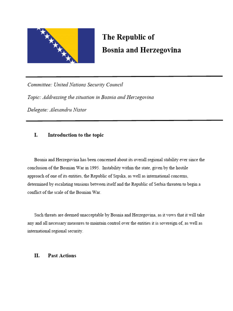The Position Paper of The Republic of Bosnia and Herzegovina | PDF ...