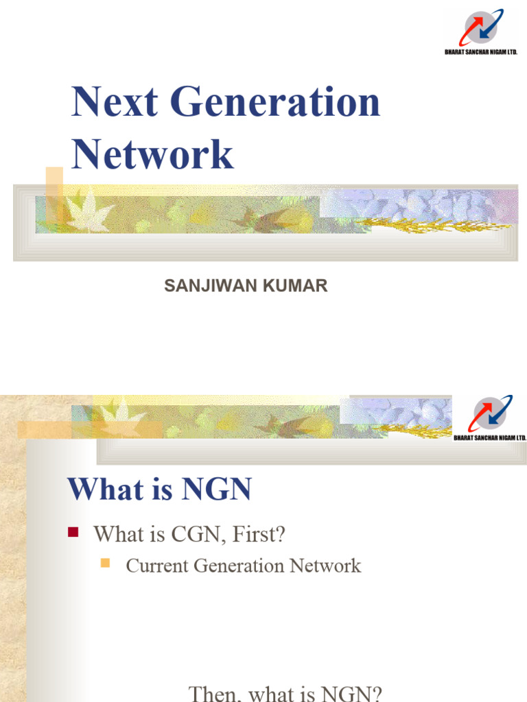 NGN Basics | PDF | Ip Multimedia Subsystem | Computer Network