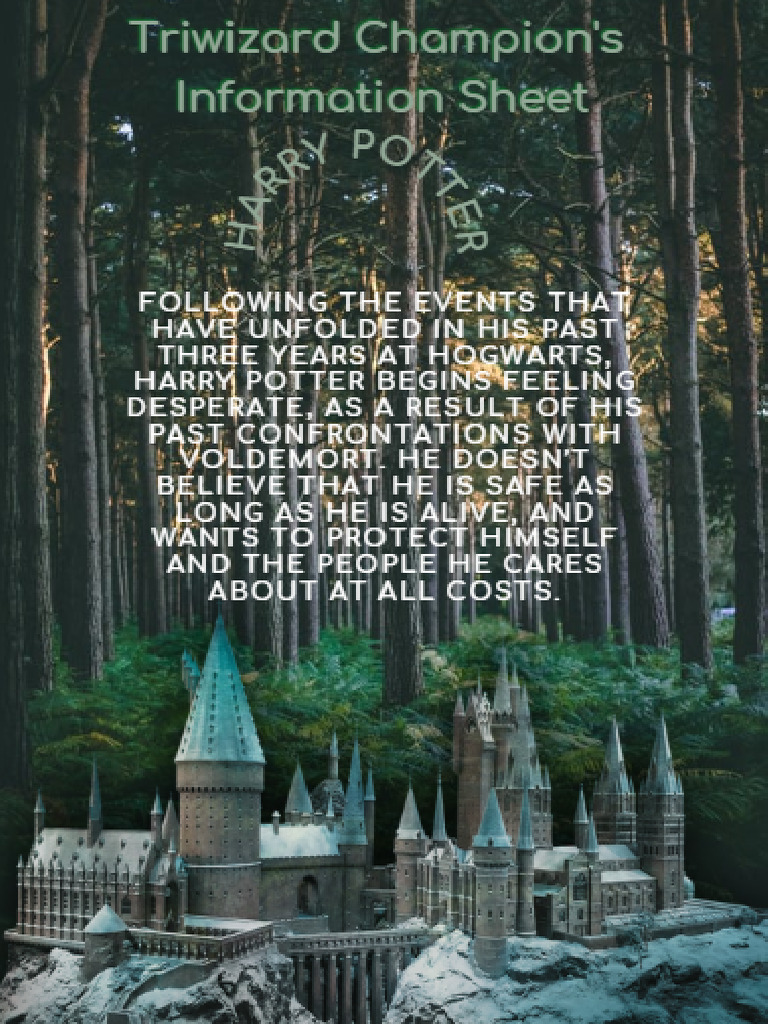 Harry Potter Info Sheet | PDF