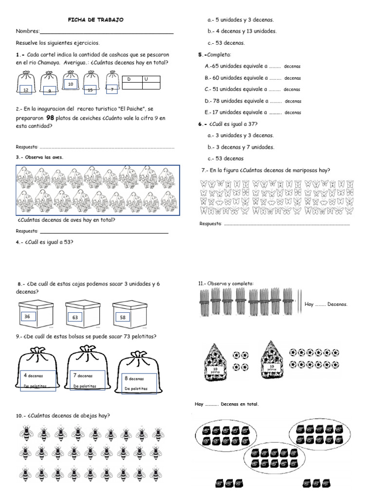 1 - FICHA DE APLICACIÓN La Decena | PDF