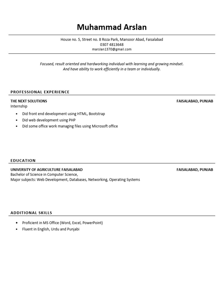 Arslan CV | PDF