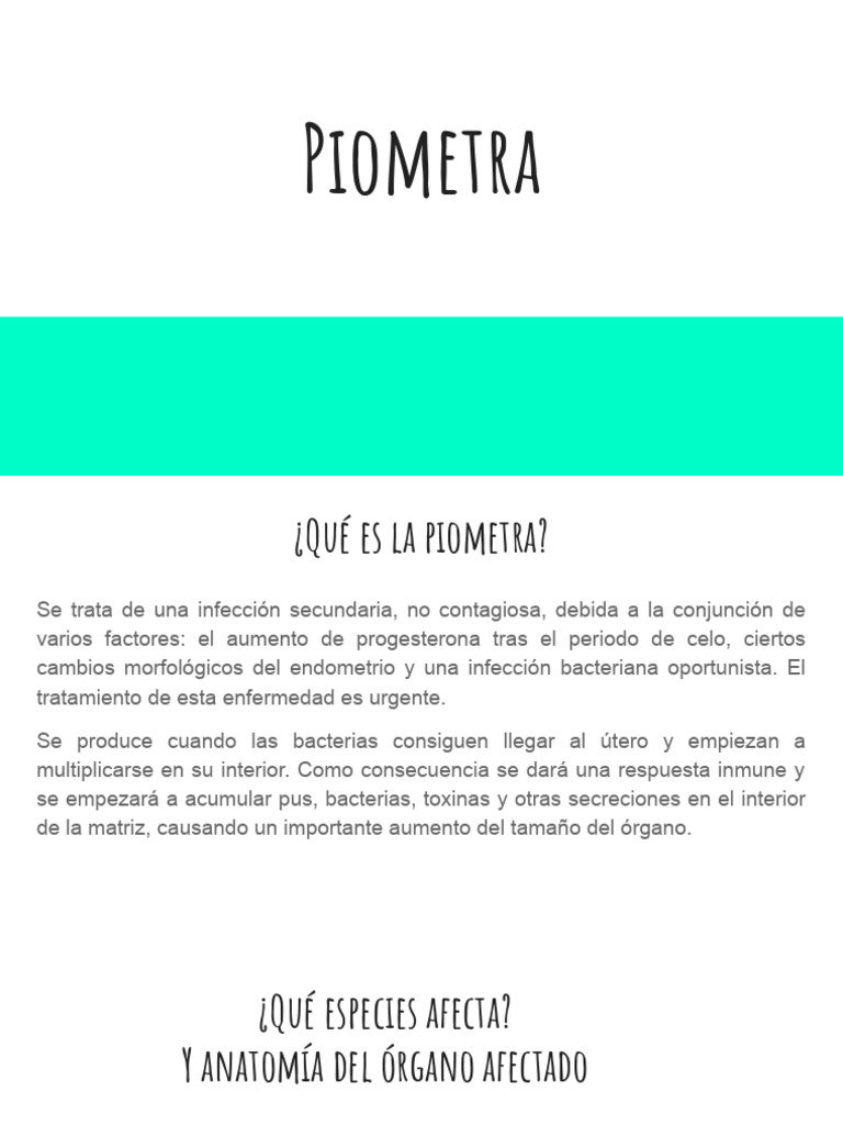 Piometra | PDF | Especialidades Medicas | Enfermedades y trastornos