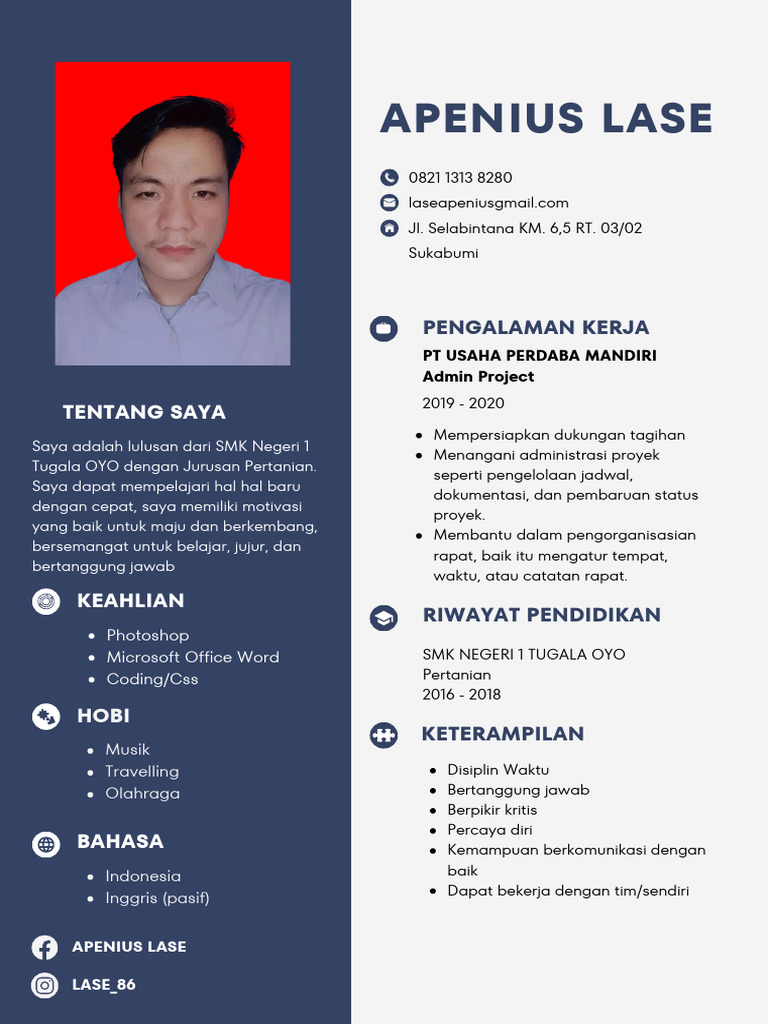 CV Exps - Apenius | PDF