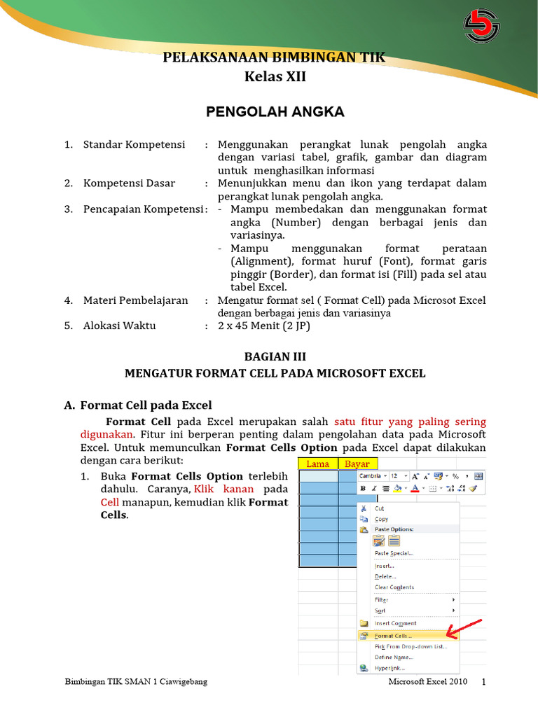 PELAKSANAAN BIMBINGAN TIK Excel 3 | PDF | Komputer
