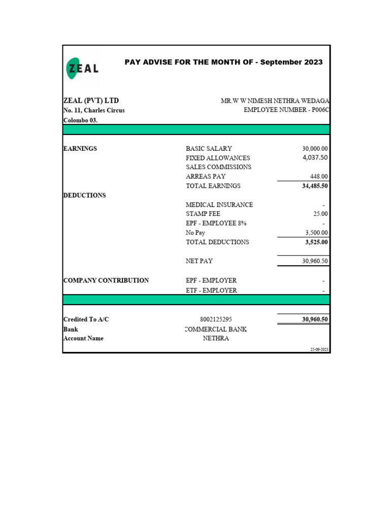Pay Slips -Word | PDF | Employment | Salary
