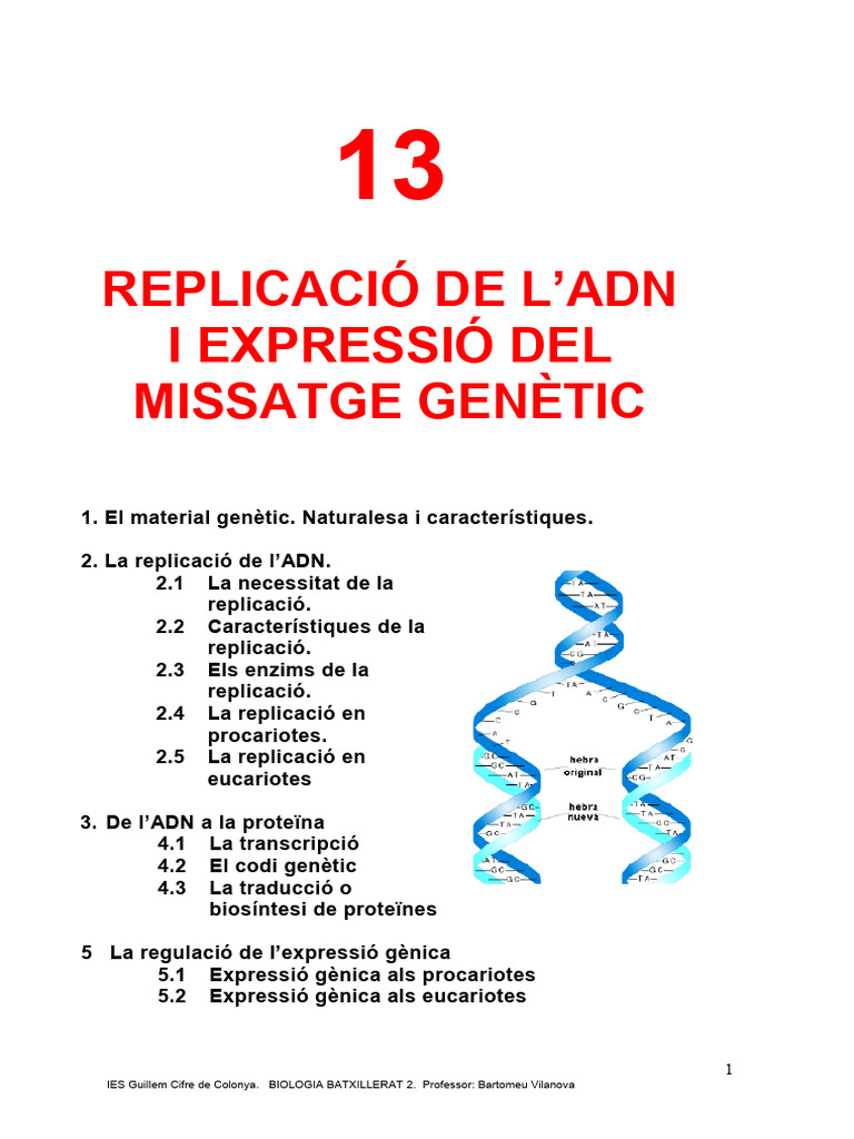 T13 Expressio Missatge Genetic | PDF