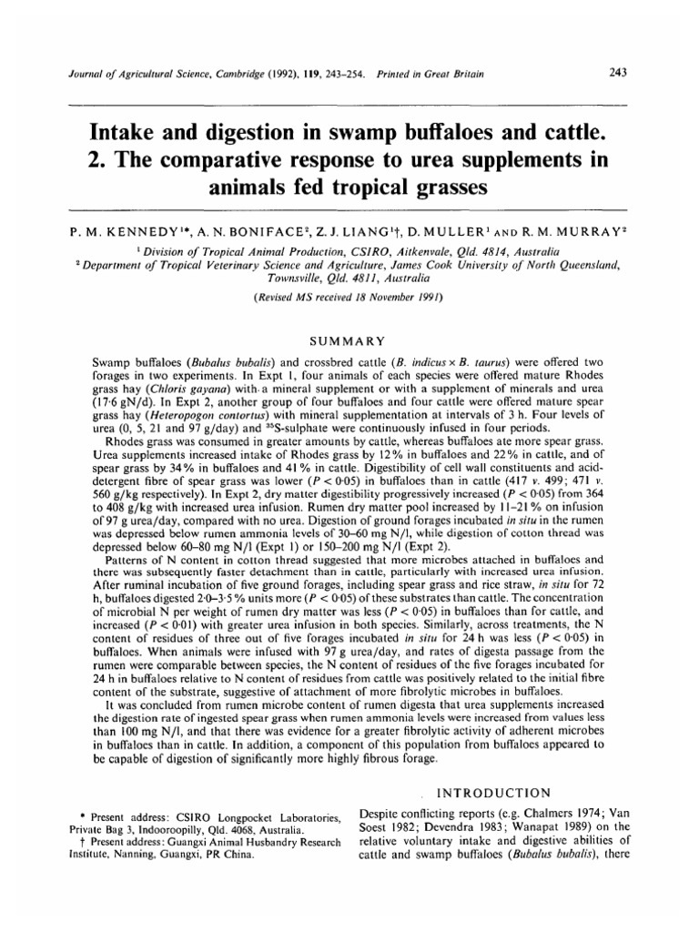 Intake and Digestion in Swamp Buffaloes and Cattle. | PDF | Cattle ...