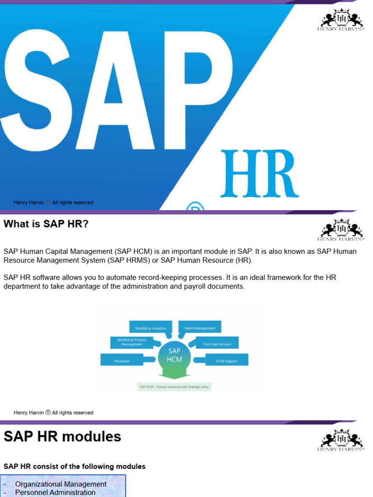 Sap 1 | PDF | Payroll | Human Resources